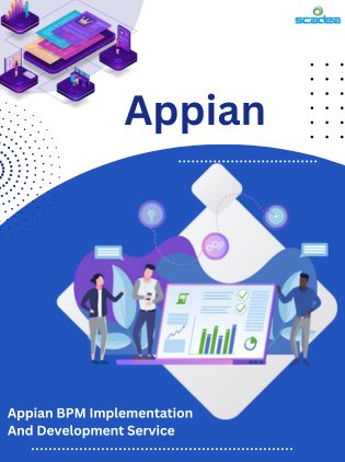 Appian BPM Implementation and Development Service | Scadea